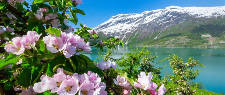 Embrace the Magic of Norway in Spring / Authentic Scandinavia